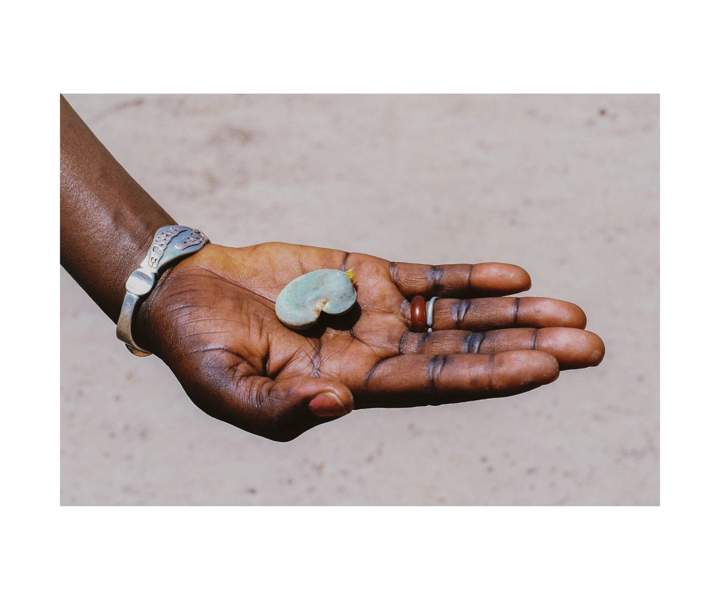 Clara Watt: Noix de Cajou, 2022 - Open Doors Gallery