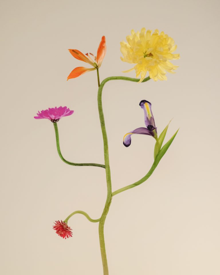 INTRODUCING: Jennifer Latour - Open Doors Gallery