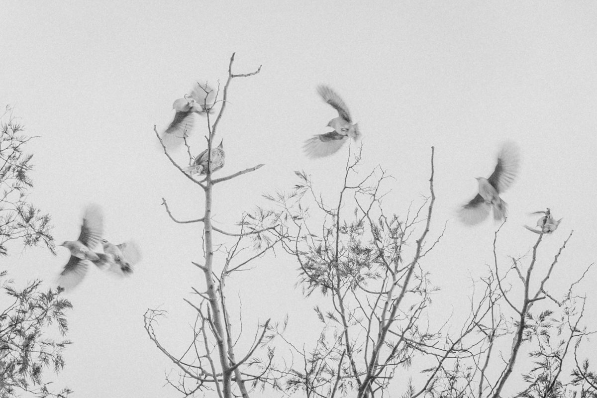 Angus Scott: September myth (7), 2021 - Open Doors Gallery