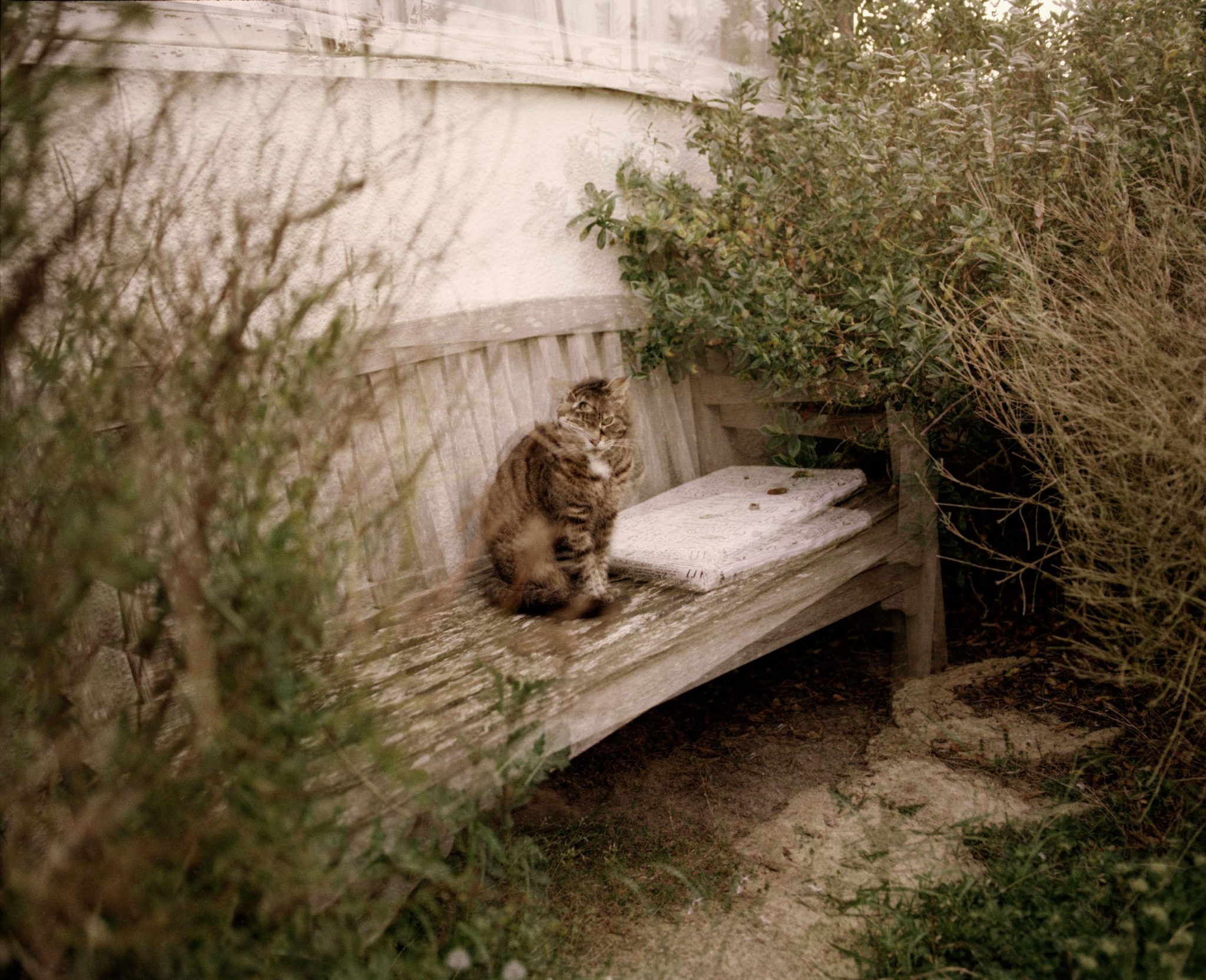 Open Doors Gallery | Photographic Art | Books | Exhibitions