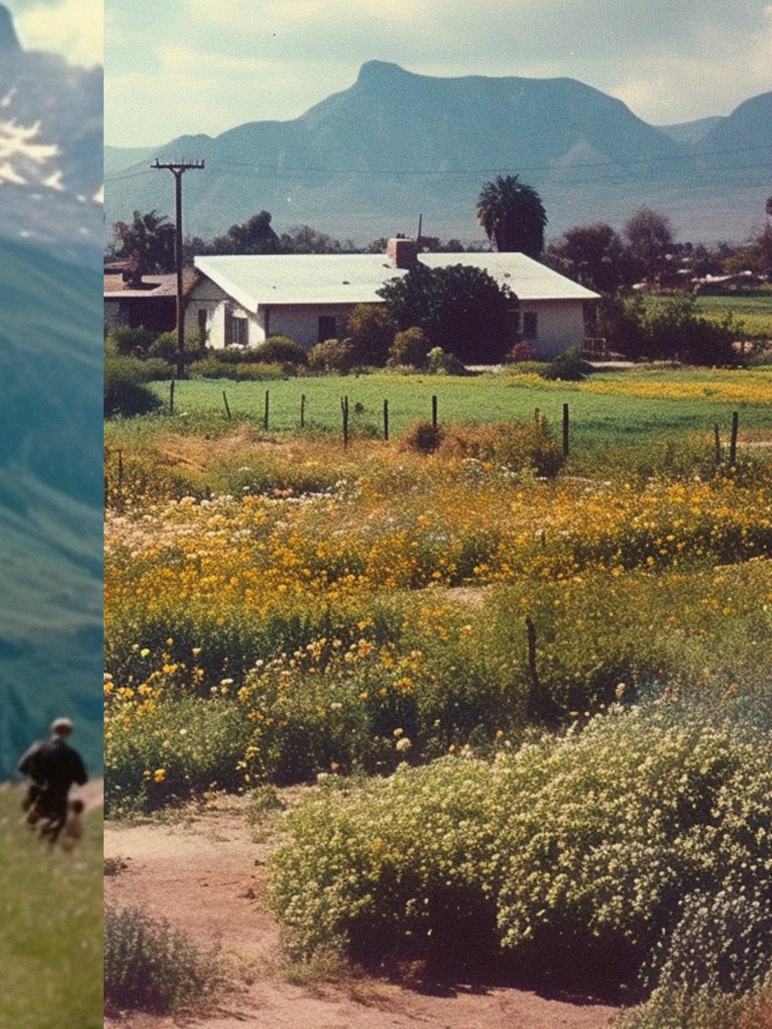 Shop Limited Edition Photo Prints - Open Doors Gallery