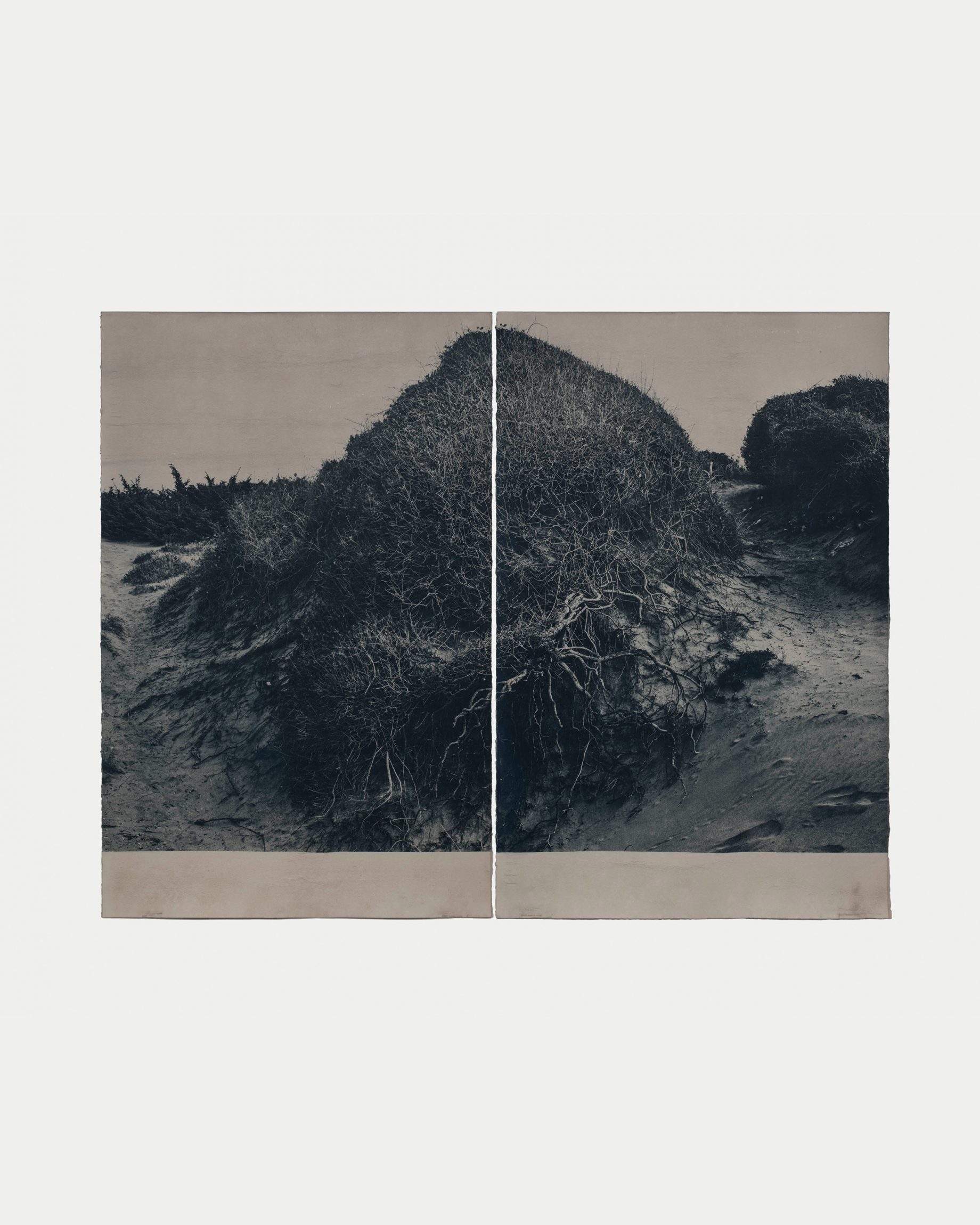 Explore unique and limited edition artworks - Open Doors Gallery