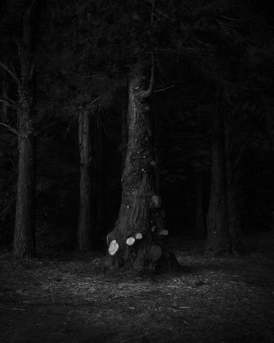 Maria Lax - Limited Edition Prints - Open Doors Gallery