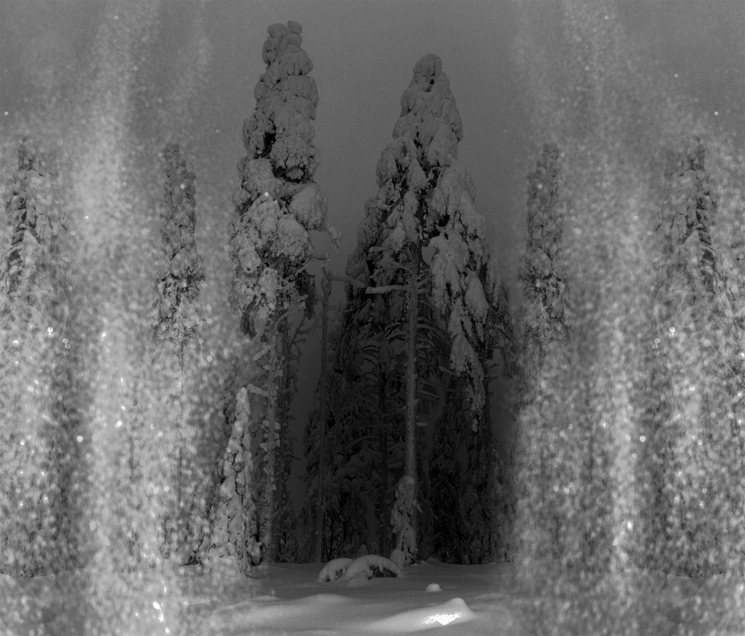 Maria Lax - Limited Edition Prints - Open Doors Gallery