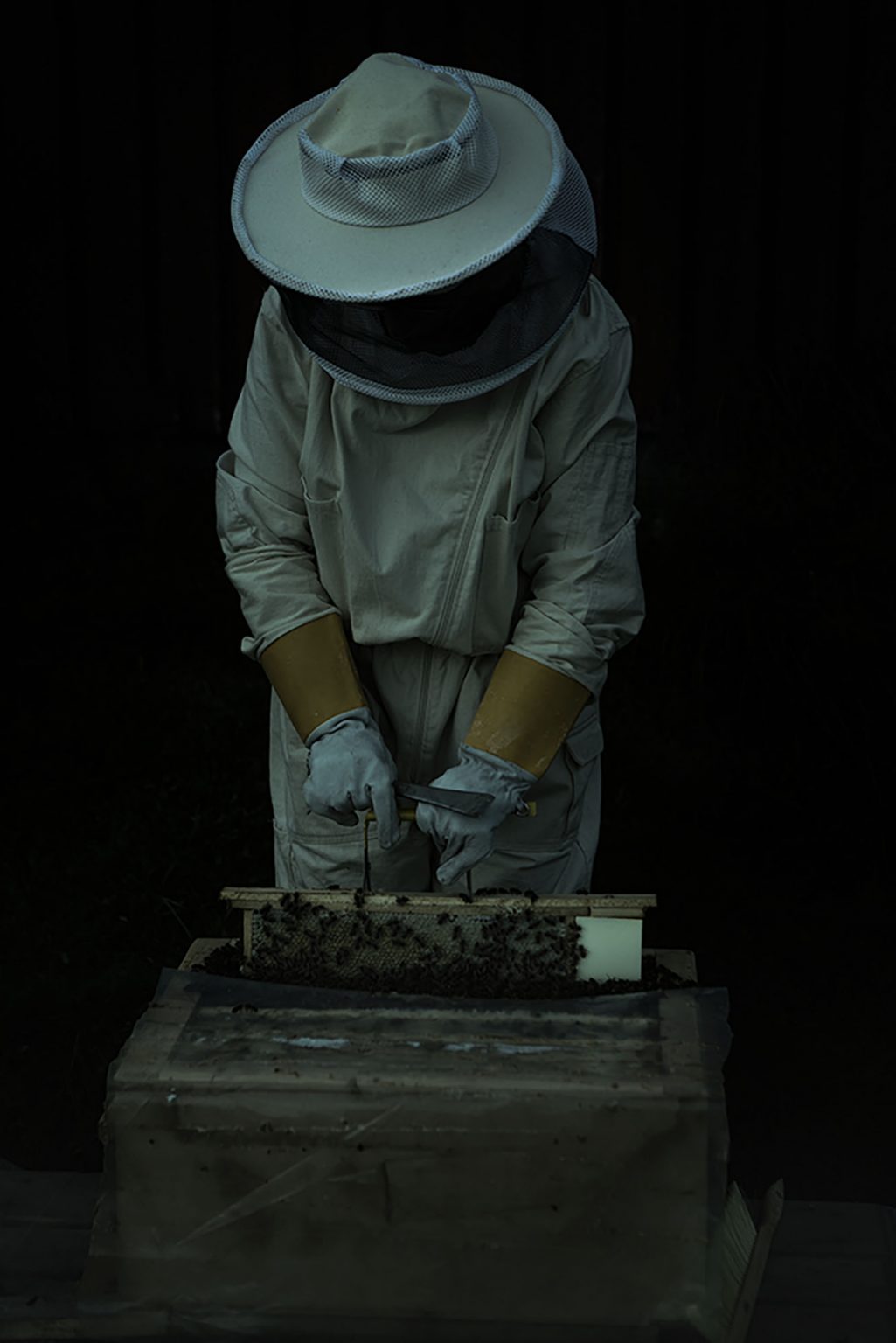 Maria Lax - Limited Edition Prints - Open Doors Gallery