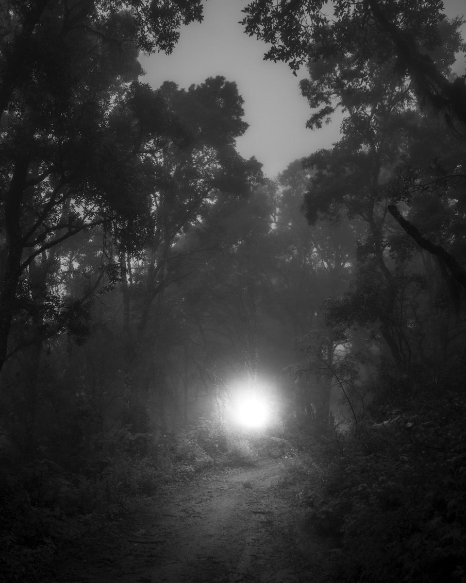 Maria Lax - Limited Edition Prints - Open Doors Gallery