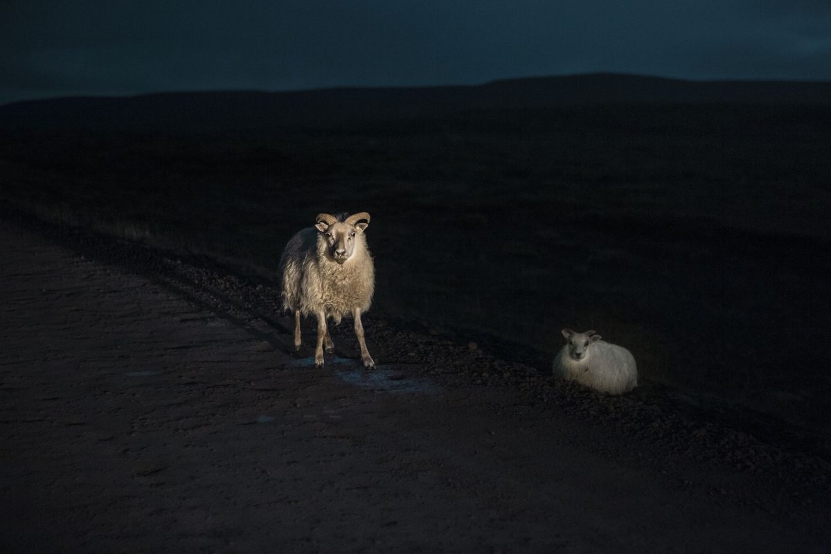 Maria Lax - Limited Edition Prints - Open Doors Gallery