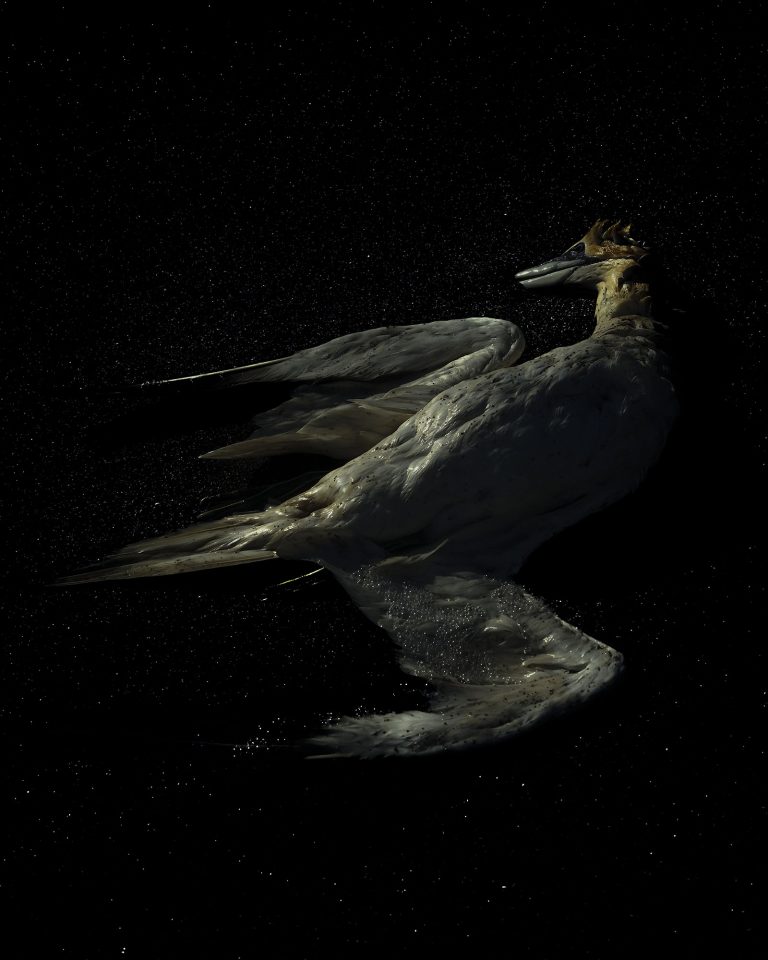 Maria Lax - Limited Edition Prints - Open Doors Gallery